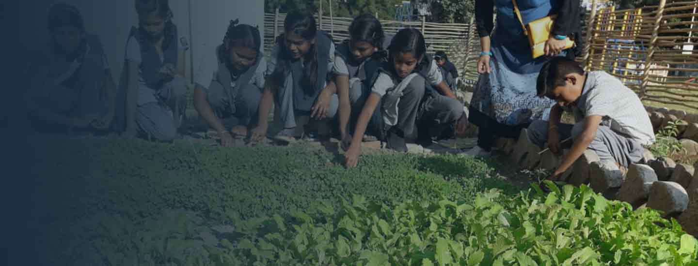 Harit | HCLFoundation